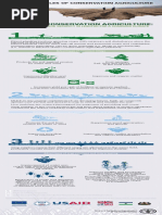 Understanding Fallowing in Agriculture | PDF | Crop Rotation | Agriculture