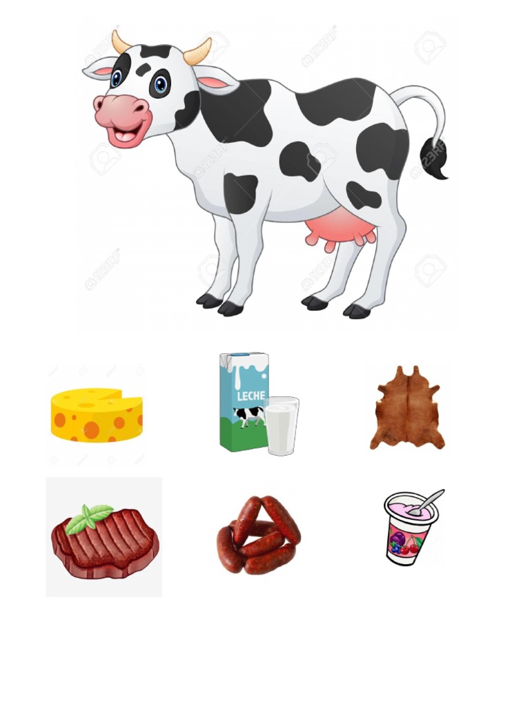 Vaca Y Derivados
