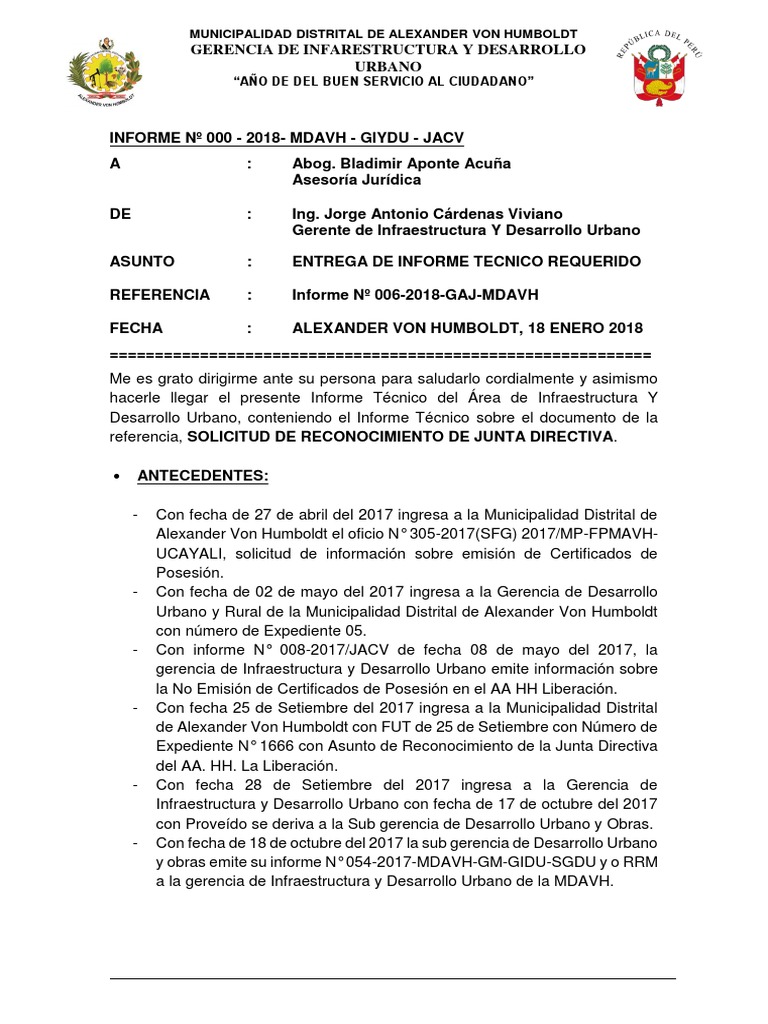 Informe Bladi 2 | PDF | Gobierno local | Gobierno