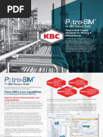 PetroSim Basic Document | PDF | Spreadsheet | Petroleum