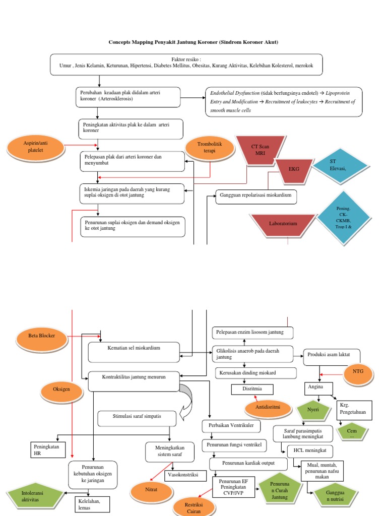 Pathway Penyakit Jantung Koroner-2 | PDF