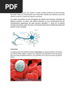 Neumocitos Tipo 1 y 2 - Histologia | PDF