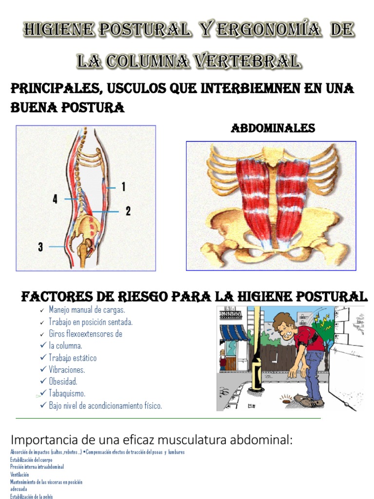 HIGIENE POSTURAL Y ERGONOMÍA DE LA COLUMNA VERTEBRAL.docx | Dolor ...