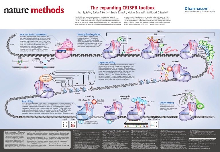 Crispr Poster Web | PDF | Gene Knockout | Crispr