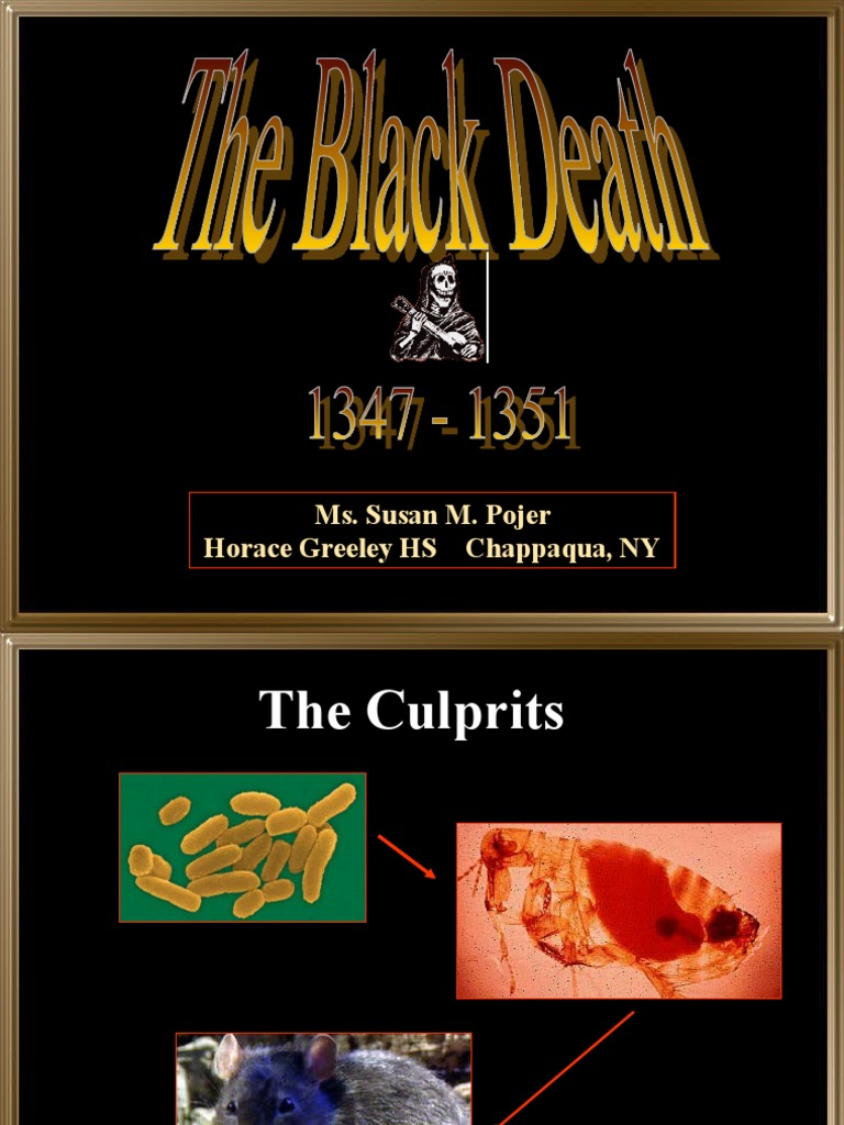 The Black Death: Causes and Impact | PDF | Plague (Disease) | Health ...