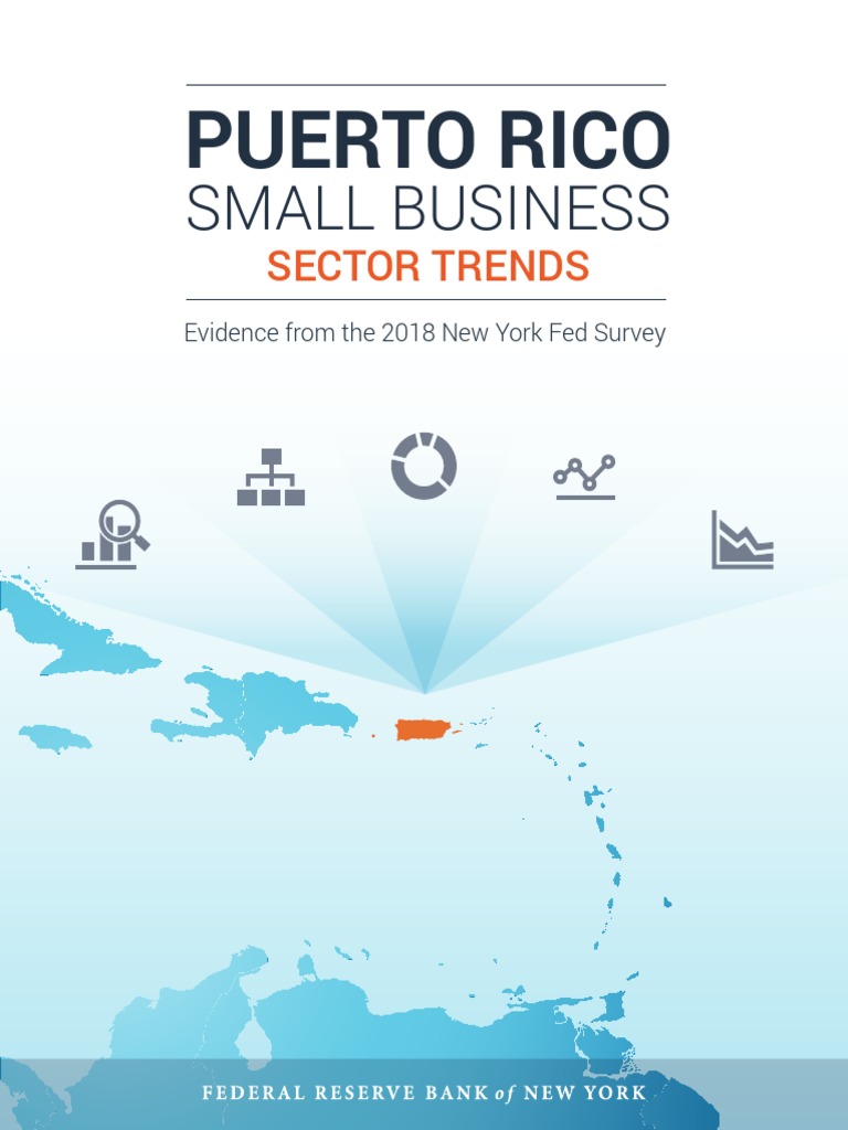 Small Business: Puerto Rico | PDF | Small Business | Employment