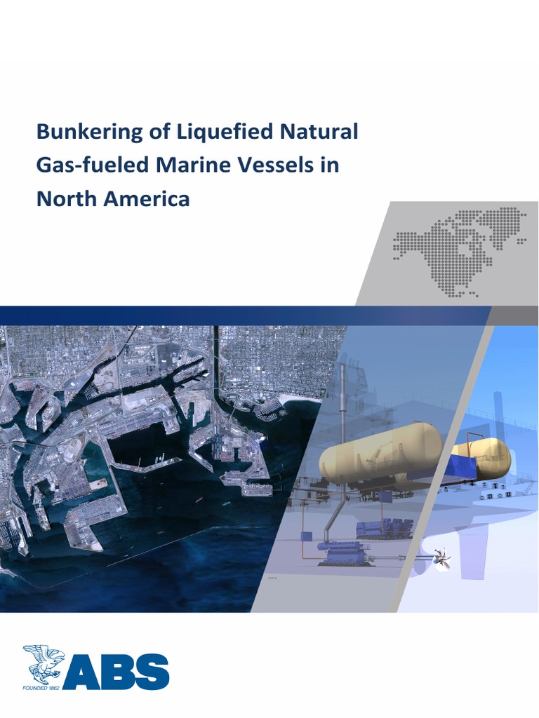 Guidelines and Considerations for Developing Liquefied Natural Gas ...