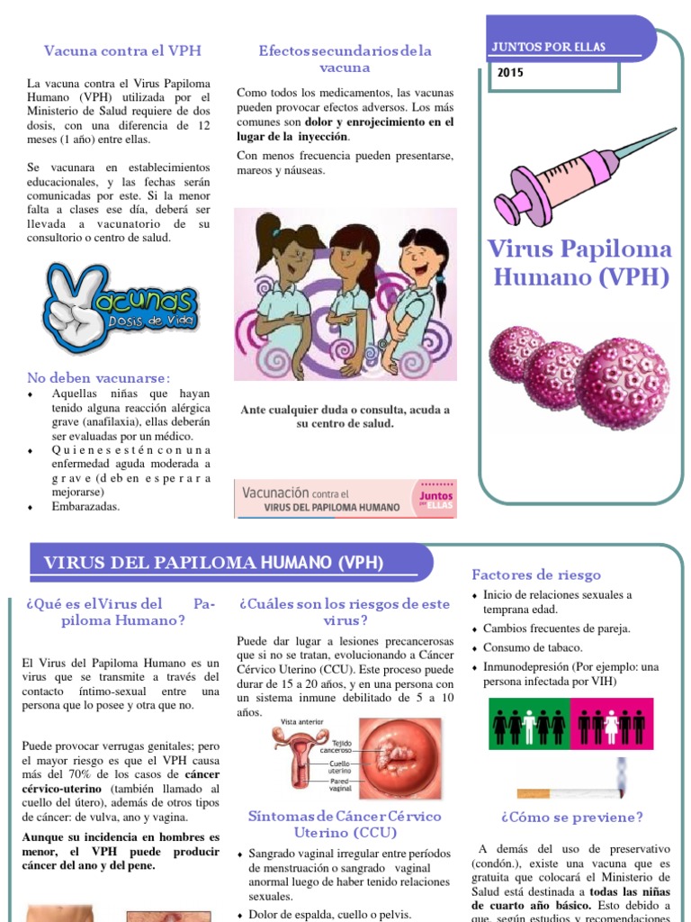 281379777-VPH-Triptico | Vagina | Virus