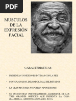 Músculos de La Mímica | PDF | Nariz humana | Anatomía humana