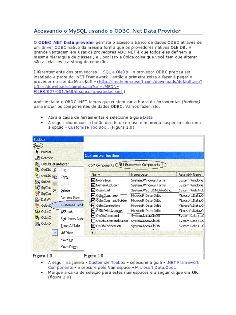 Acessando o MySQL Usando o ODBC Data Provider | PDF | Engenharia da ...