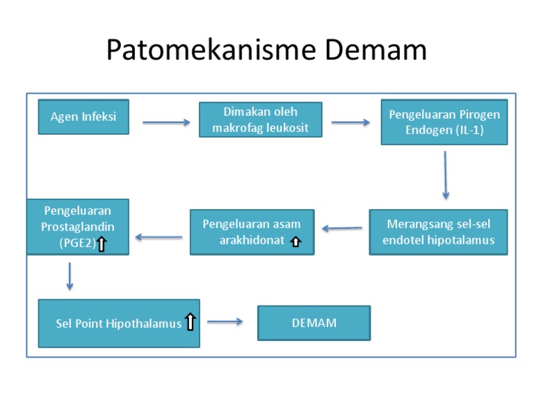 Patomekanisme Demam | PDF