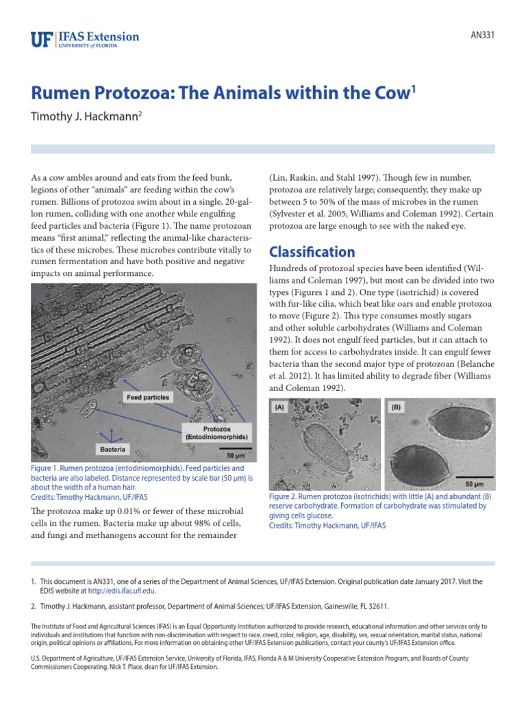 Rumen Protozoa: The Animals Within The Cow: Timothy J. Hackmann | PDF ...