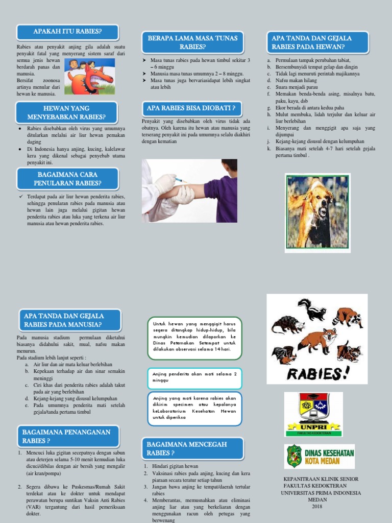 Leaflet Rabies | PDF