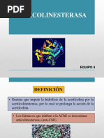 Punto de McBurney | PDF | Abdomen | Síntomas y signos