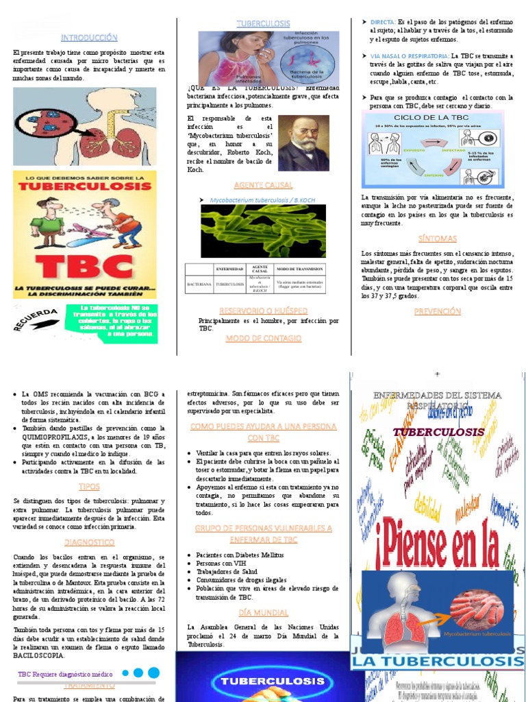 Triptico TBC | PDF | Tuberculosis | Ciencias de la Salud