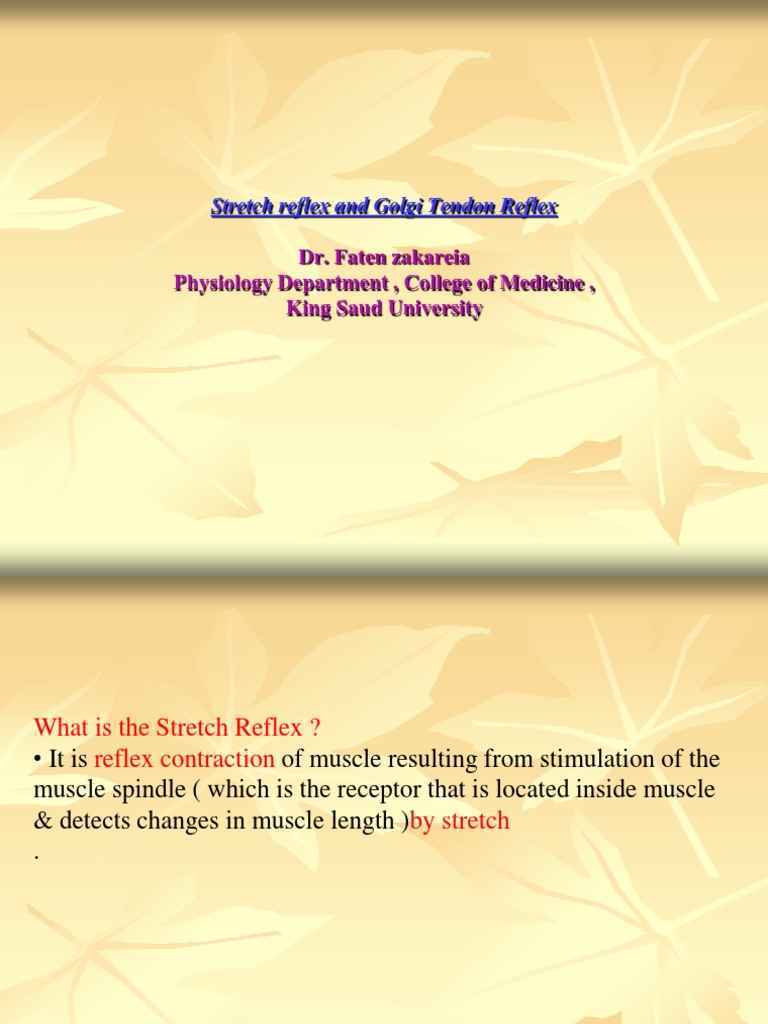 Understanding Stretch Reflex Mechanisms | PDF | Soft Tissue | Dance Science