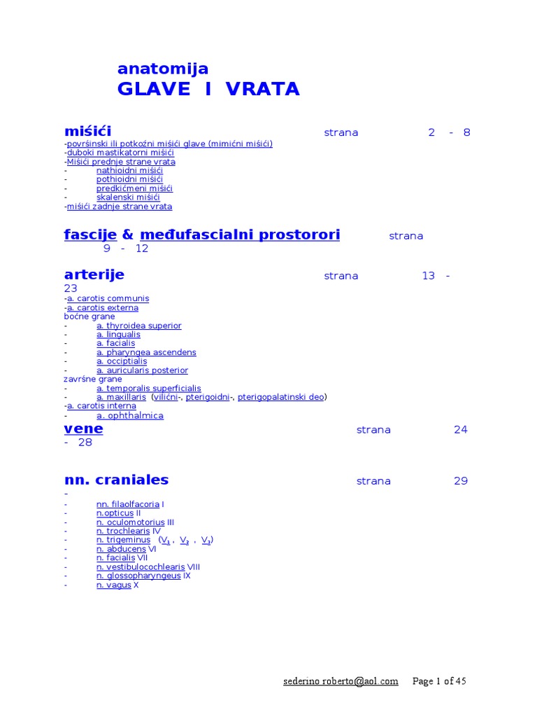 Anatomija Glave I Vrata | PDF