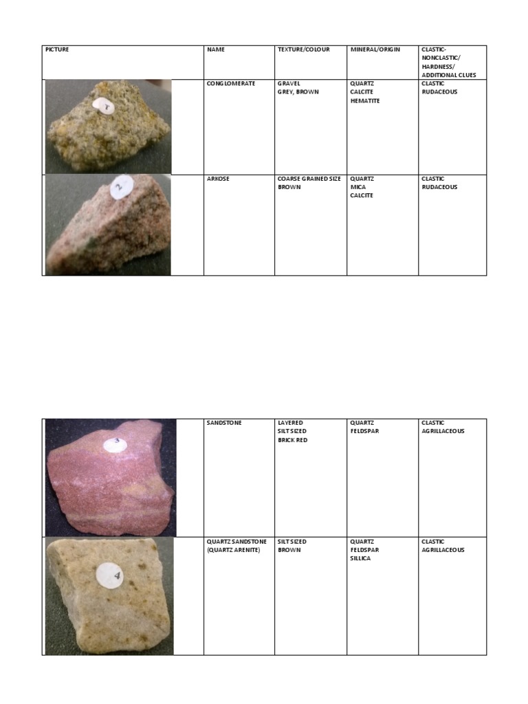 Sedimentary Rocks | PDF