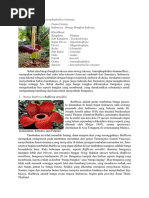 Perbandingan Flora Asiatis dan Australis | PDF