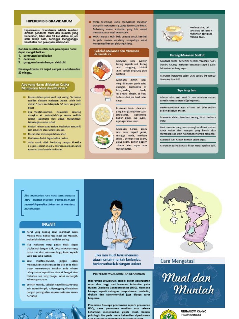 Leaflet Mengatasi Mual Muntah | PDF