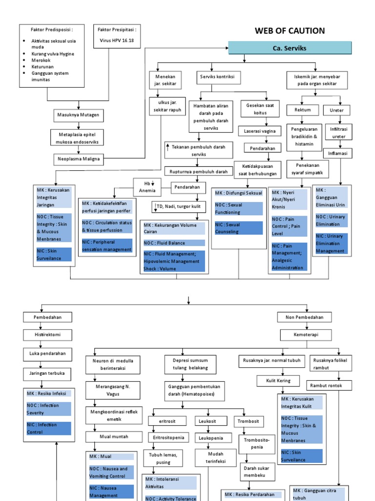 Woc - Ca Serviks | PDF