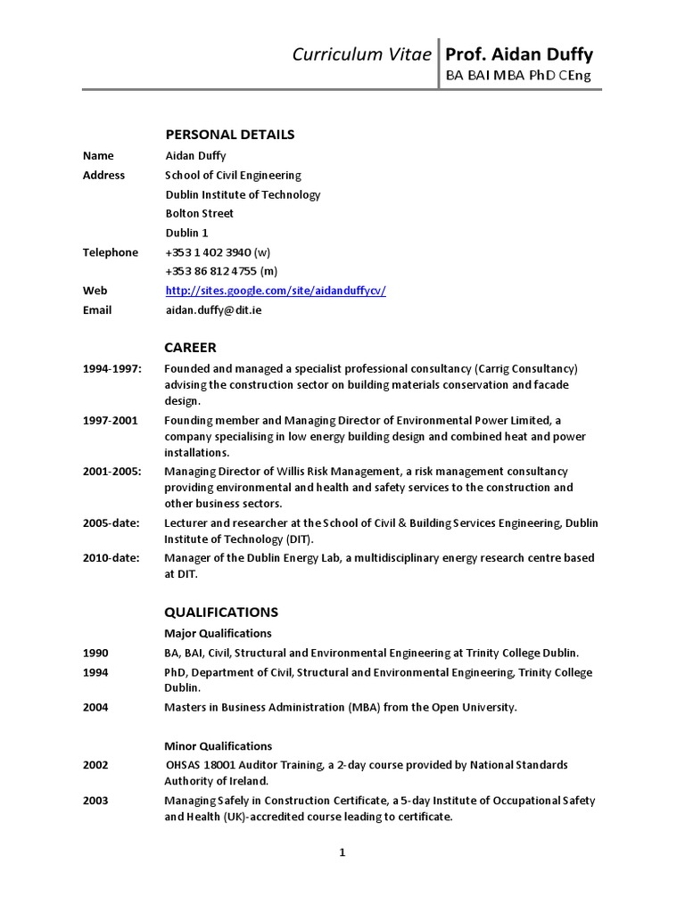 Academic CV - Aidan Duffy | PDF | Photovoltaics | Wind Power