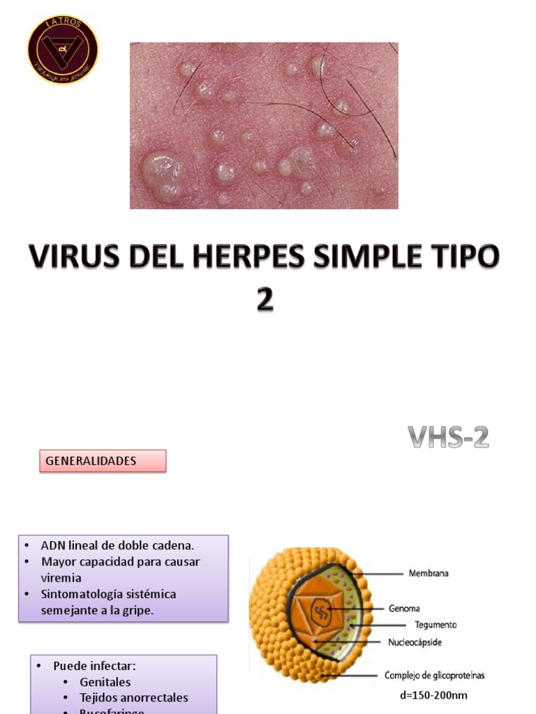 VHS 2 | PDF | Herpes Simple | Virus