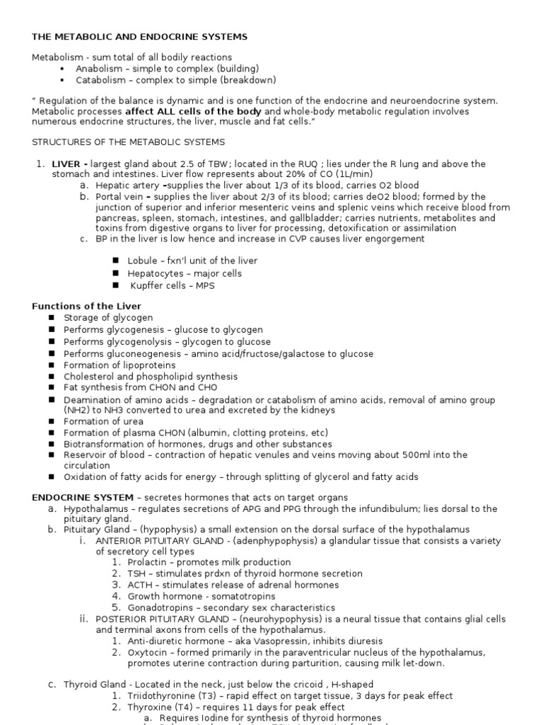 The Metabolic and Endocrine Systems Notes | PDF | Adrenocorticotropic ...