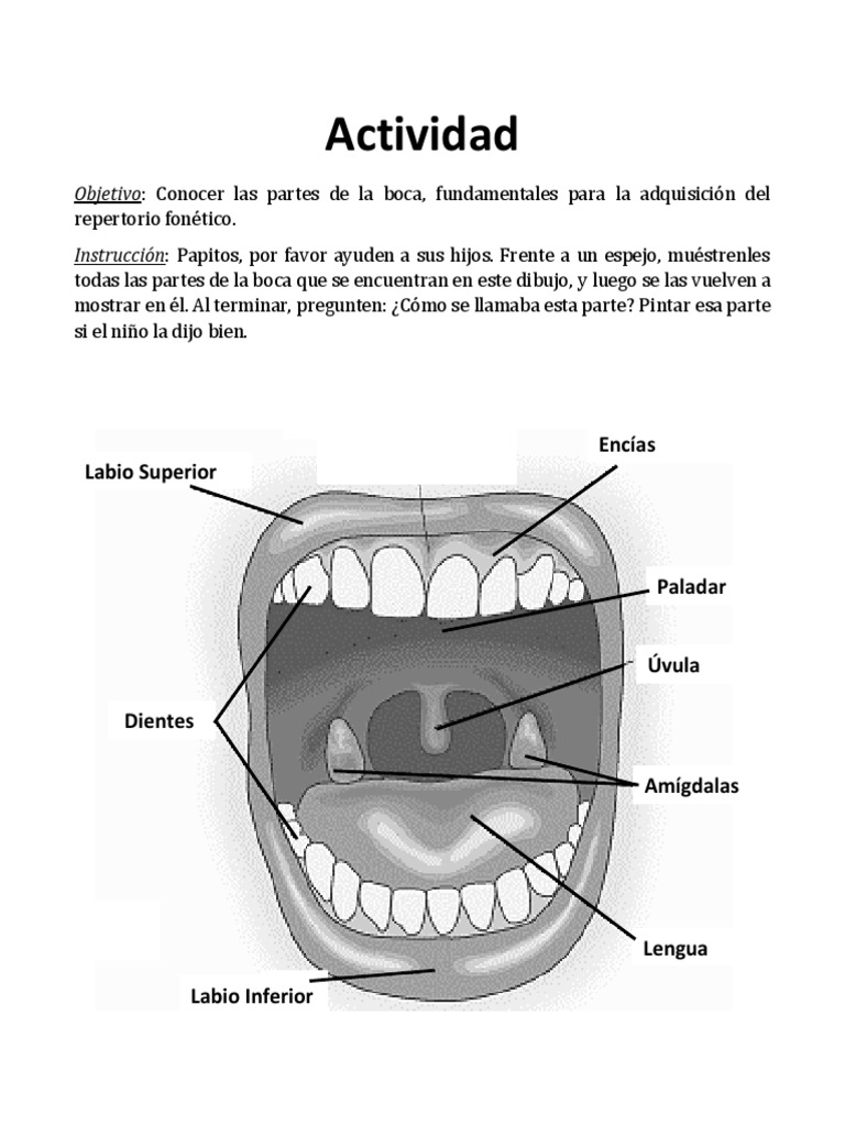 Dibujo de la Boca para Niños | PDF
