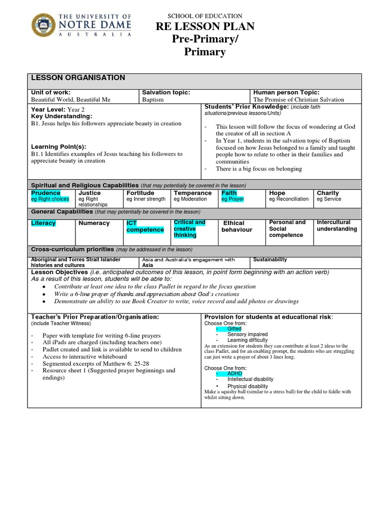 Re Lesson Plan Part B | PDF | Teachers | Learning Disability