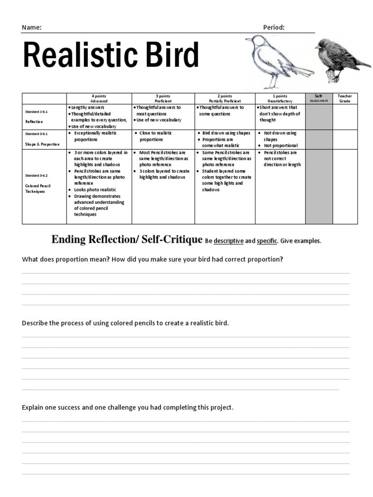 Realistic Bird Assessment New Standards | PDF | Drawing | Learning