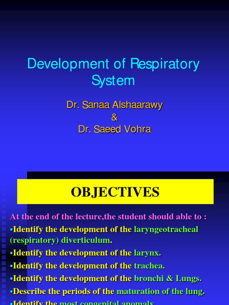 Respiratory System Development Guide | PDF | Lung | Respiratory Tract