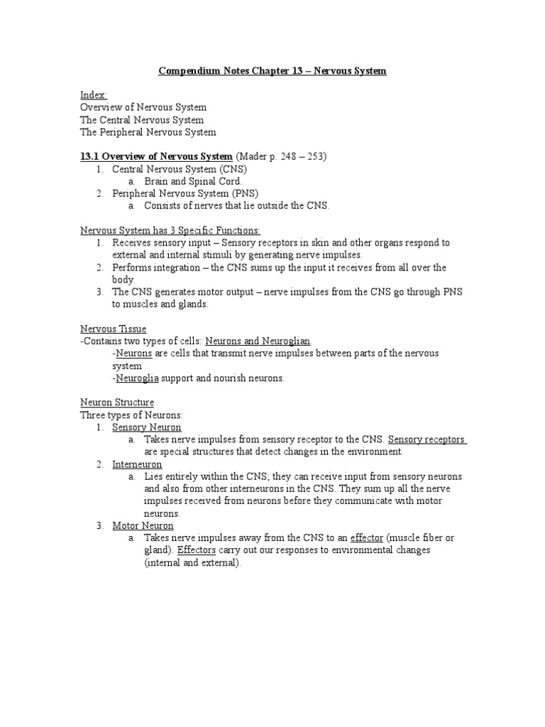 Major Topic 1 Unit 3 Comp Notes | PDF | Axon | Nervous System