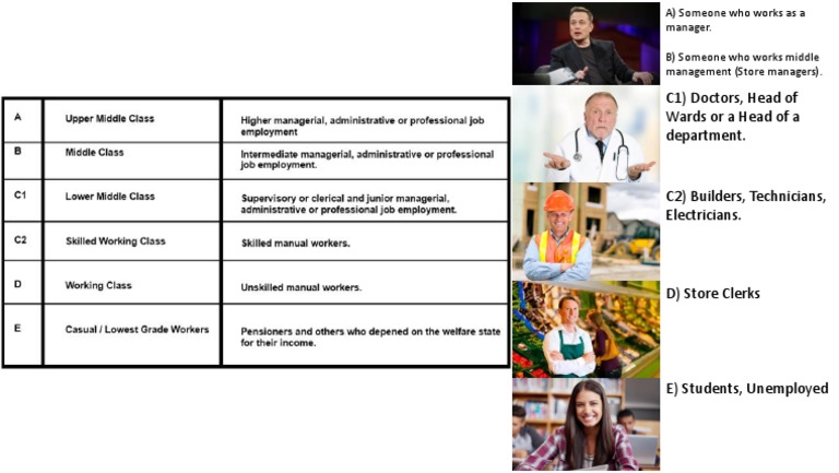 Job Roles and Management Levels Explained | PDF