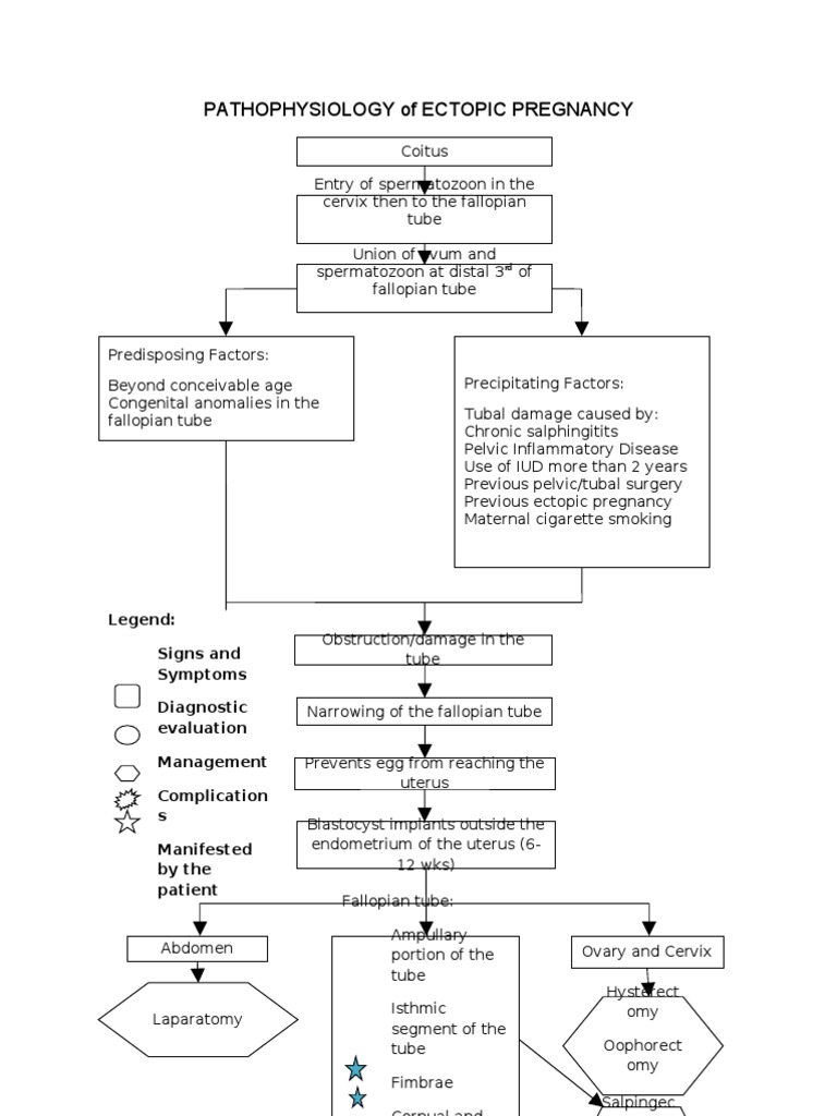 Pa Tho Physiology of Ectopic Pregnancy