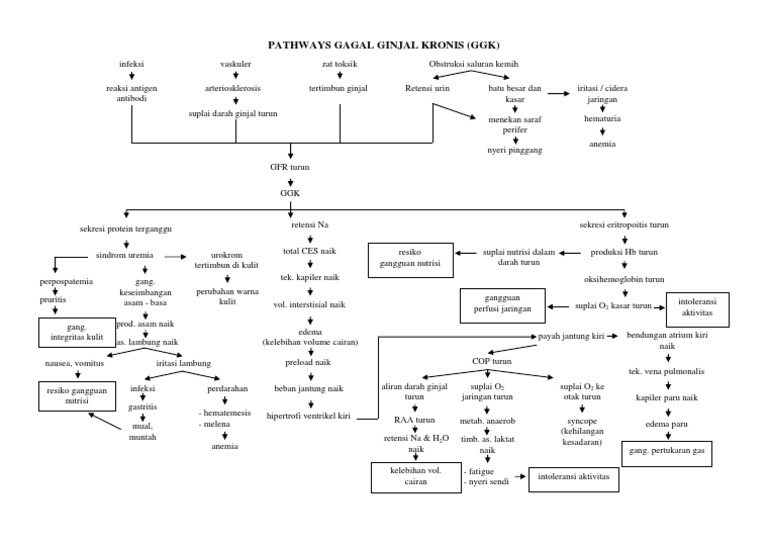 Pathways GGK PDF | PDF