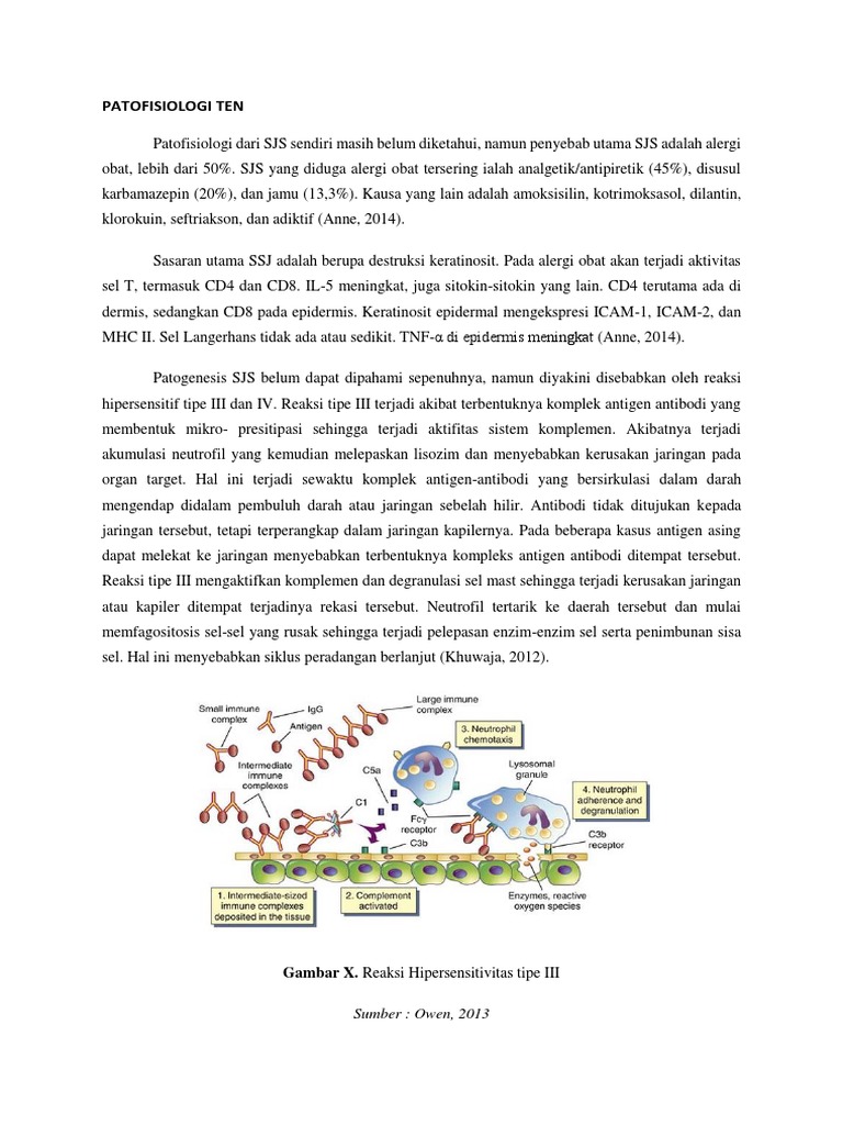 Patofisiologi Sjs Atau Ten | PDF
