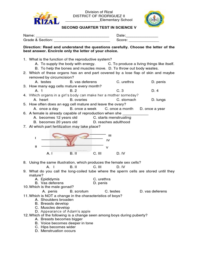 2nd Quarter Test - Science 5 | PDF | Flowers | Pollination