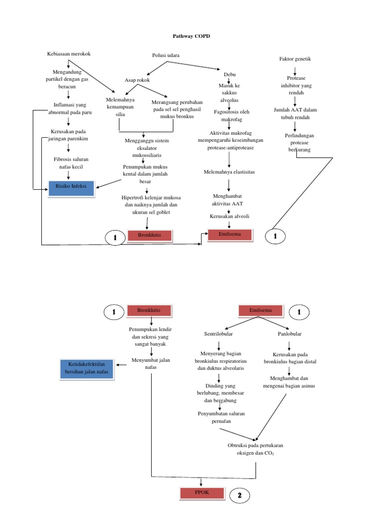 Pathway Penyakit Paru Obstruktif Kronis | PDF