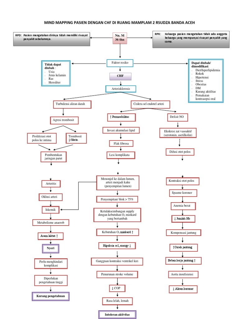 Mind Mapping CHF Pasien RSUDZA | PDF
