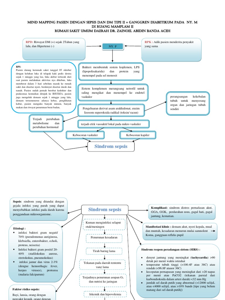 Mind Mapping Pasien Dengan Sepsis Dan Luka Decubitus Pada Ny | PDF