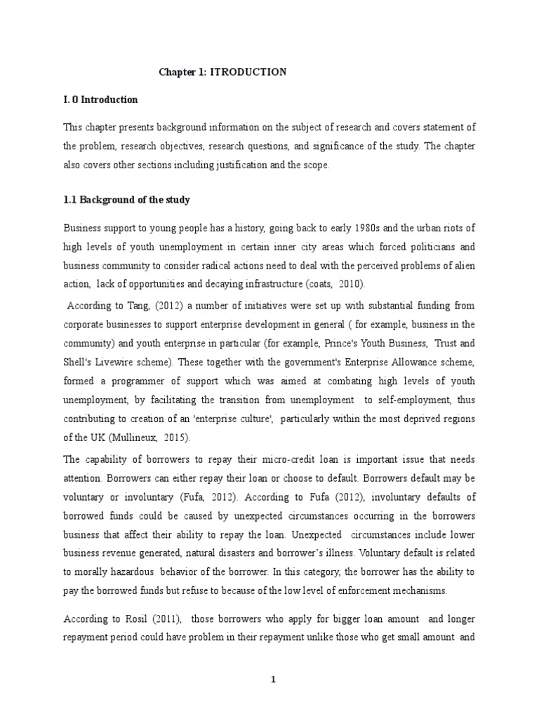 Chapter 1: ITRODUCTION | PDF | Entrepreneurship | Microfinance