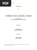Agricultural Farming Project Proposal | PDF