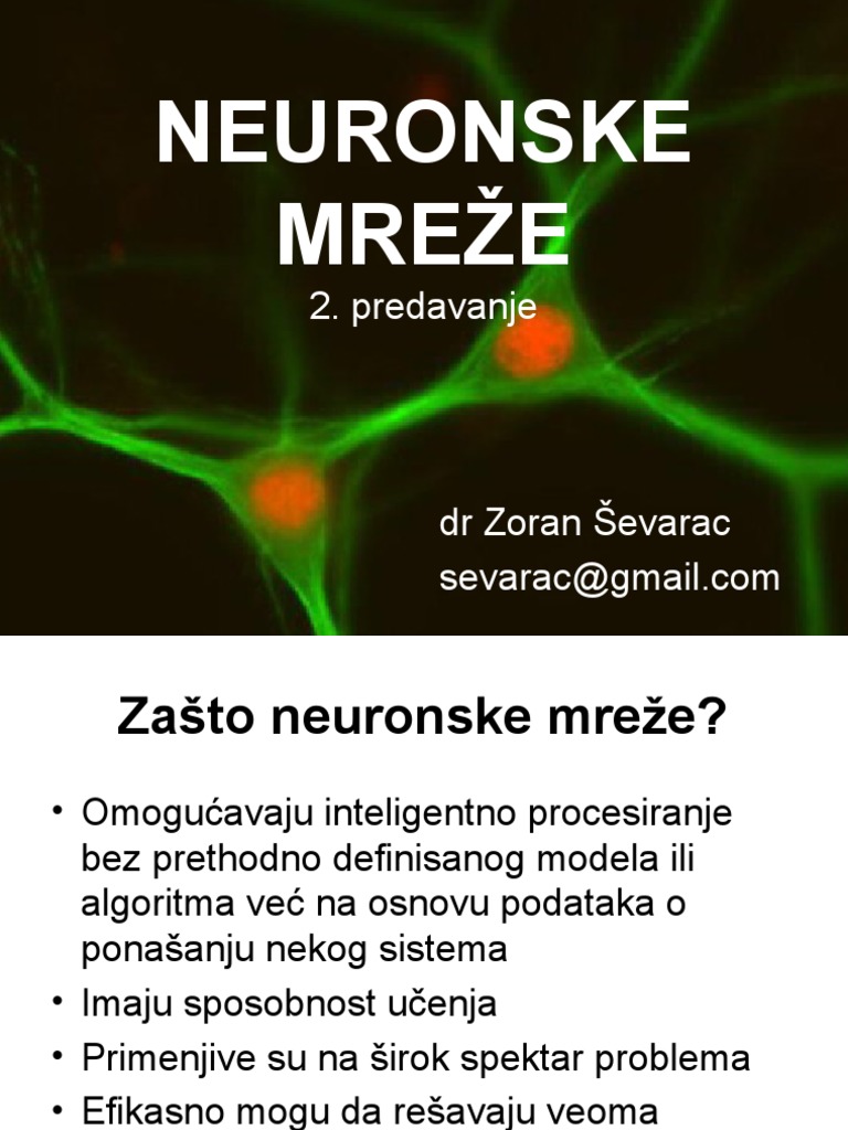 Neuronske Mreze | PDF