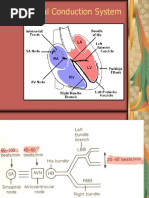 Pac PJC PVC | PDF | Cardiac Electrophysiology | Cardiac Arrhythmia