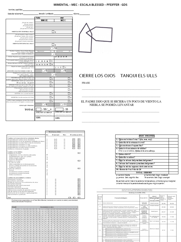 Mimental - Mec - Escala Blessed - Pfeiffer | PDF | Deportes | Ocio