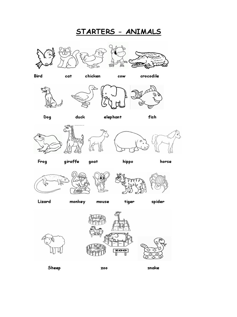Starters Animals | PDF