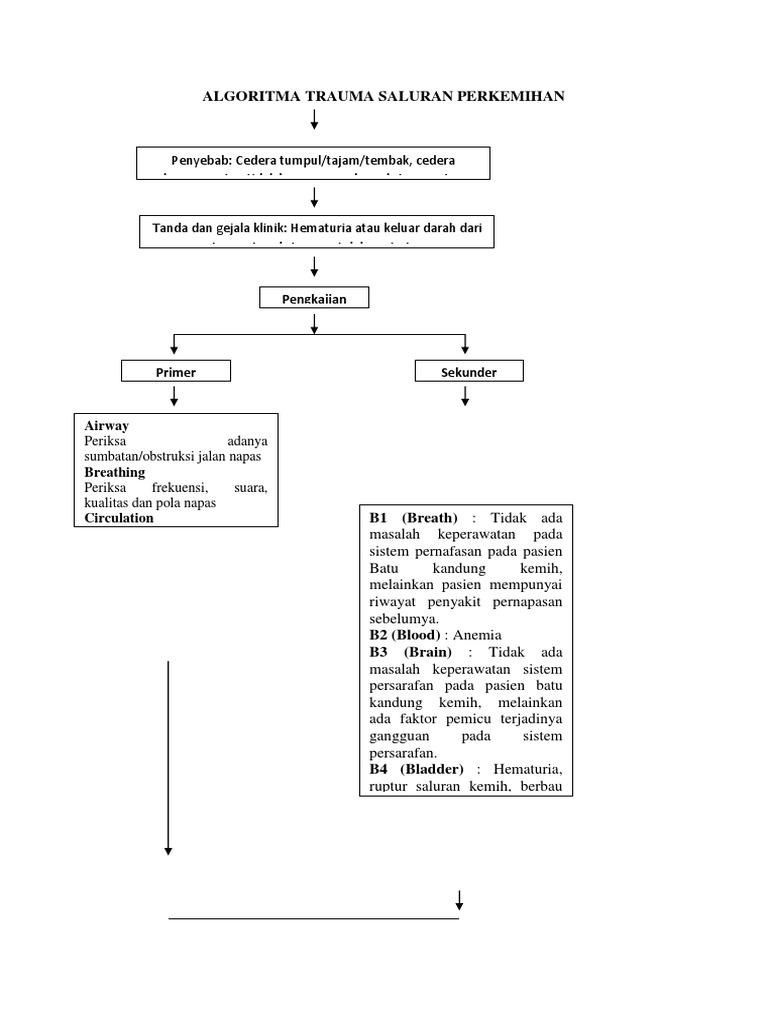 Algoritma Trauma Saluran Kemih | PDF