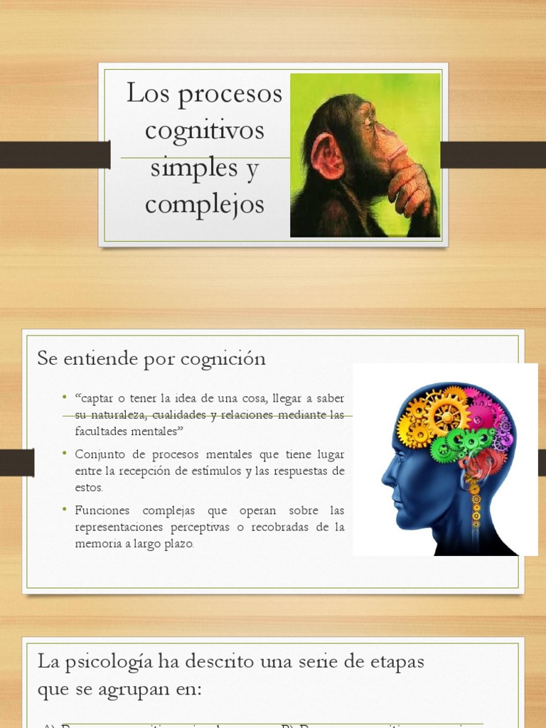 Los Procesos Cognitivos Simples y Complejos | PDF | Percepción | Memoria