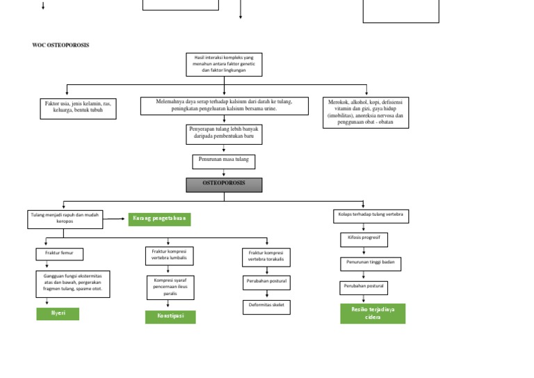 Woc Osteoporosis | PDF